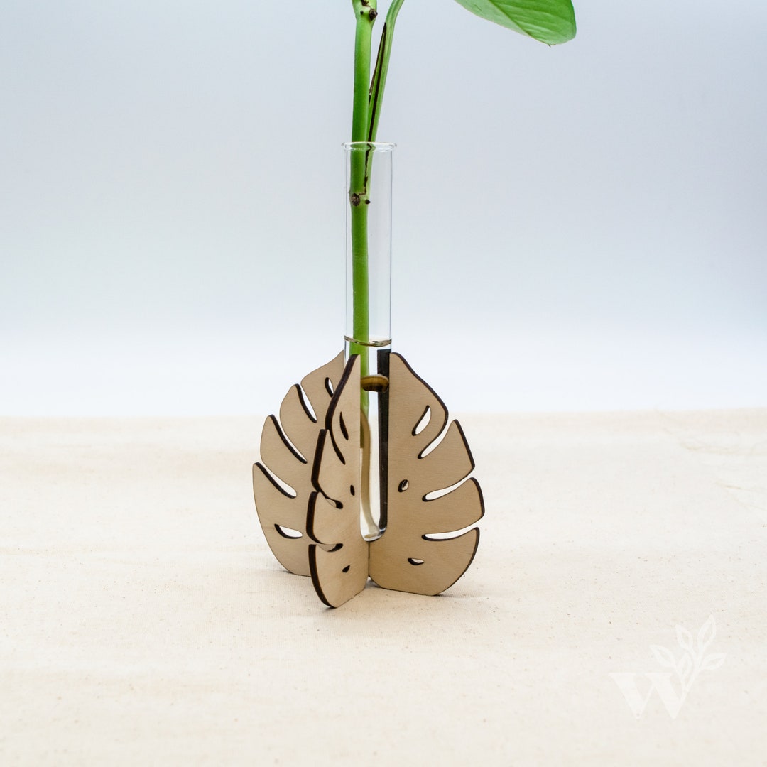 Monstera Leaf Wood Propagation Stand | Test Tube Propagation Station ...