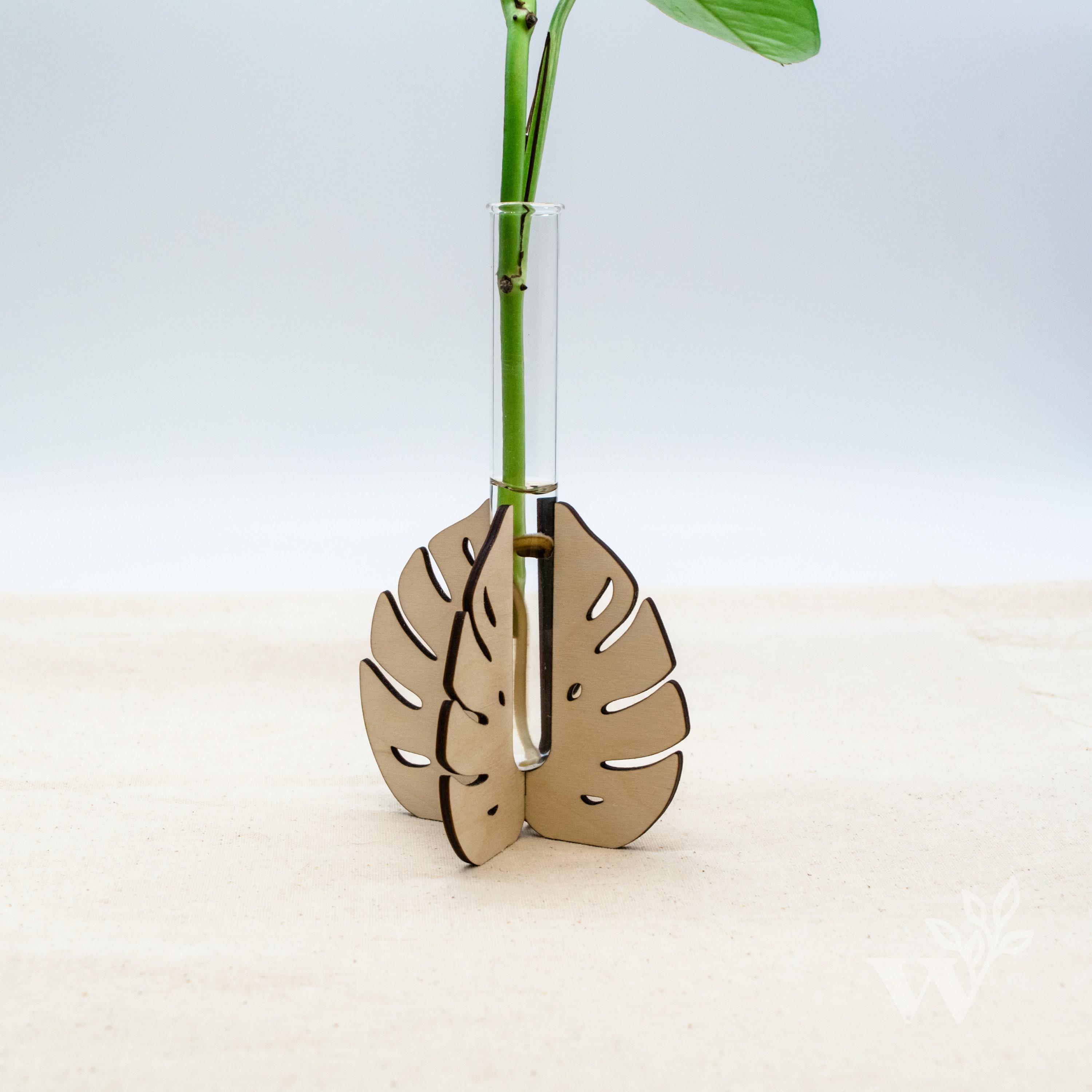 Monstera Leaf Wood Propagation Stand | Test Tube Propagation Station ...