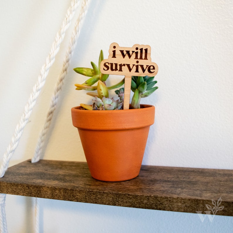 SET OF FIVE Modern Plant Markers Wood Engraved Plant - Etsy