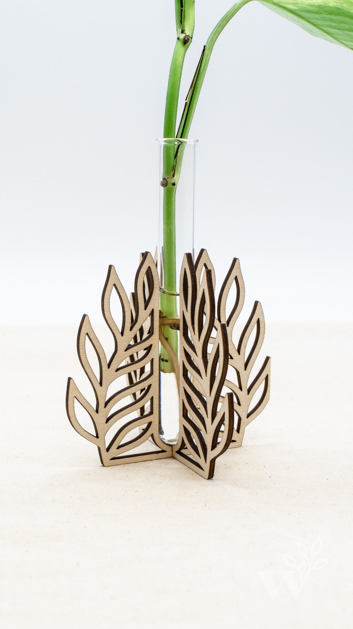 Laurel Leaf Wood Propagation Stand | Test Tube Propagation Station ...