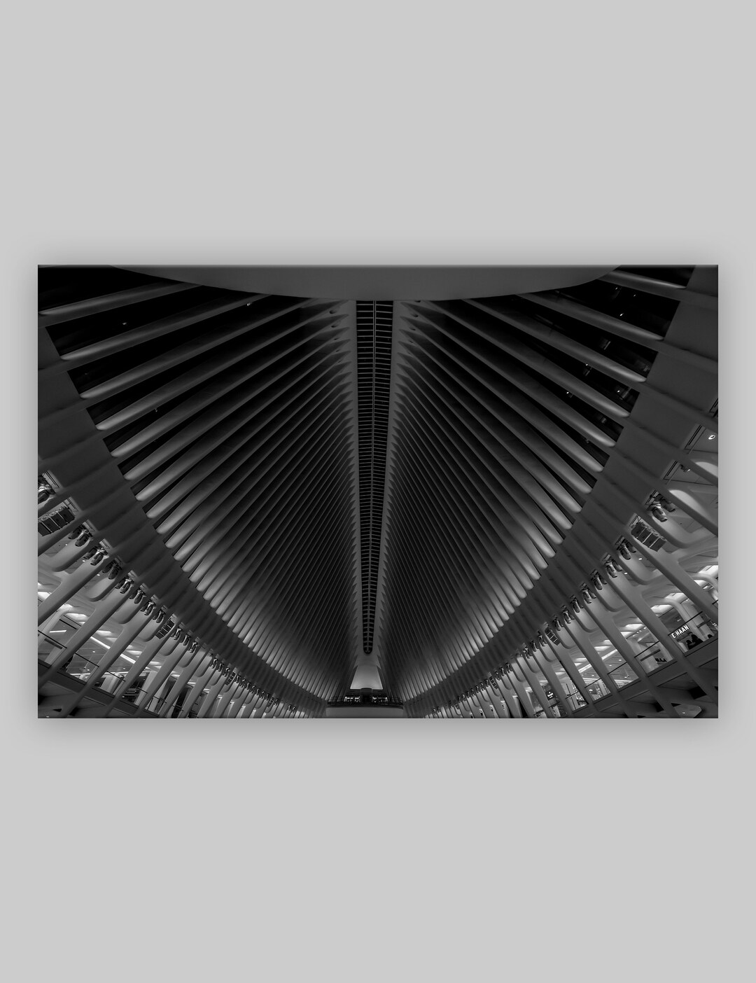 The Oculus One World Trade Center 9/11 Architecture New York City ...