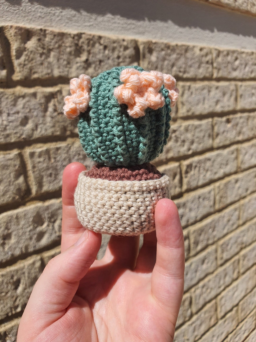 Crochet Barrel Cactus: Mini Desk Plant and Perfect Gift for Plant ...