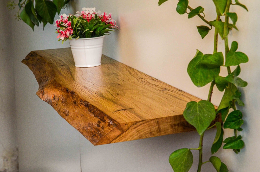 Hanging Live Edge Shelves for Wall Hanging Plant Shelf Fall - Etsy