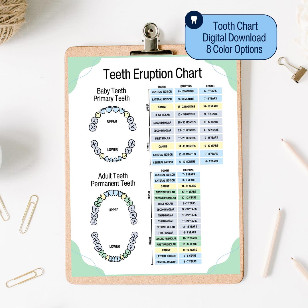 Dental Digital Download Dental Art Printable Tooth Chart Dentist Gift ...