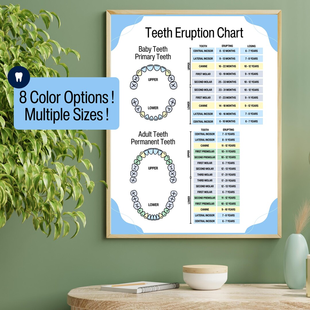 Tooth Chart Dental Wall Art Dental Wall Decor Dentist Gift Teeth Chart ...