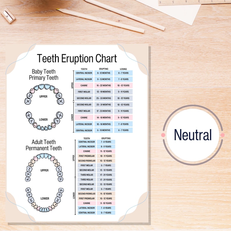 Dental Digital Download Dental Art Printable Tooth Chart Dentist Gift ...