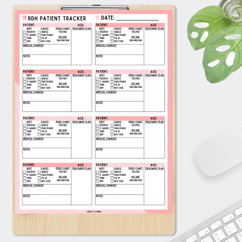 Printable Dental Hygiene Planner Custom RDH Patient Tracker ...
