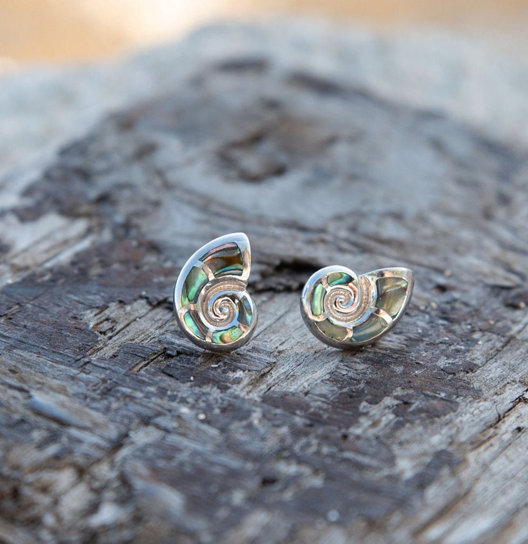Abalone Nautilus Shell Earrings - Etsy