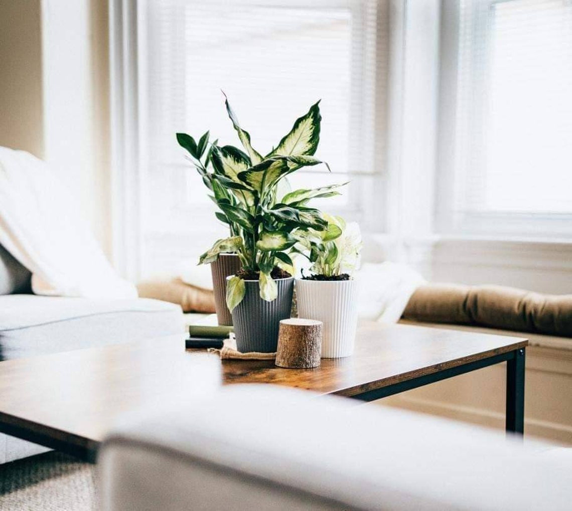 Self Watering Planter Modern Planter Small Planter - Etsy