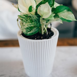 Self Watering Planter Modern Planter Small Planter Indoor Planter Gift ...