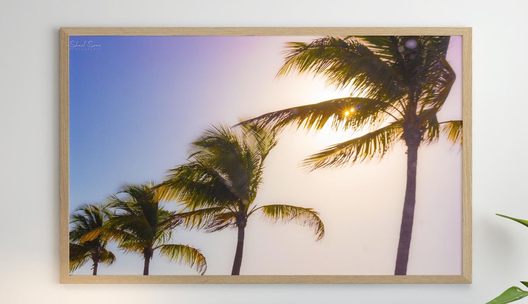 Palm Trees Photo Print, Florida Photo Print, Beach Photography Print ...