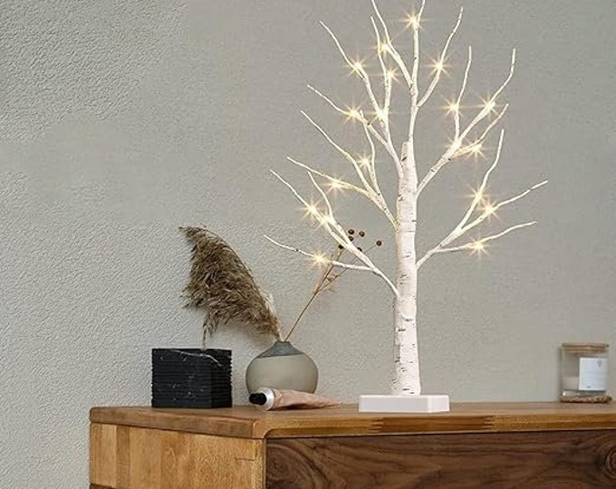 Canoe Birch Tree 3 Pack, Betula Papyrifera, Paper White Birch, White ...