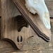 Euro Mount Pedestal - Etsy