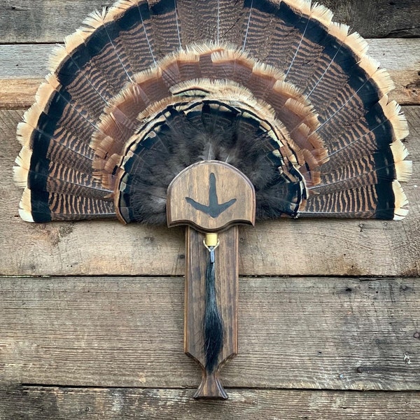 Merriams Turkey Fan - Etsy