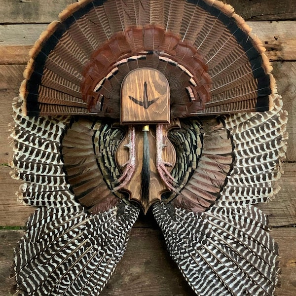 Wall Mount Wing - Etsy