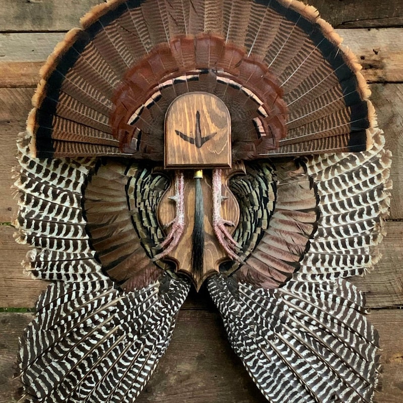 Wall Mount Wing - Etsy