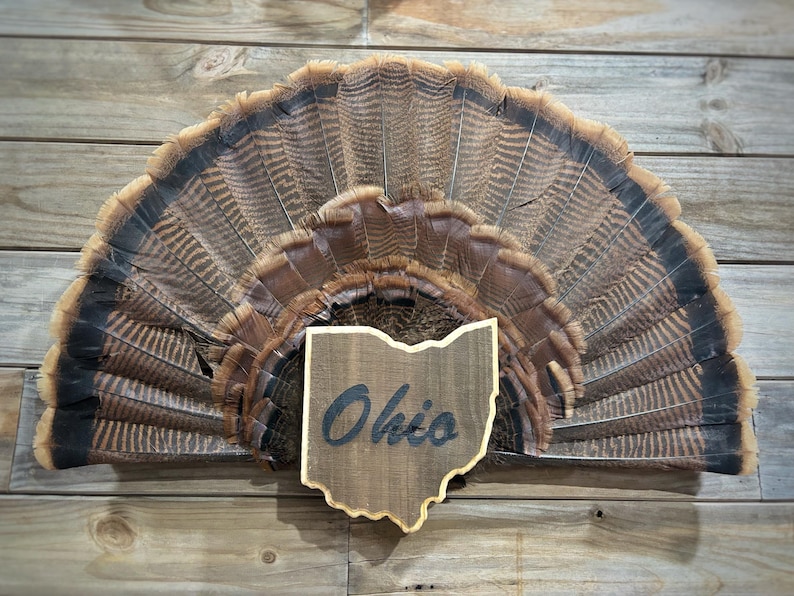 Ohio Turkey Fan Plaque - Etsy