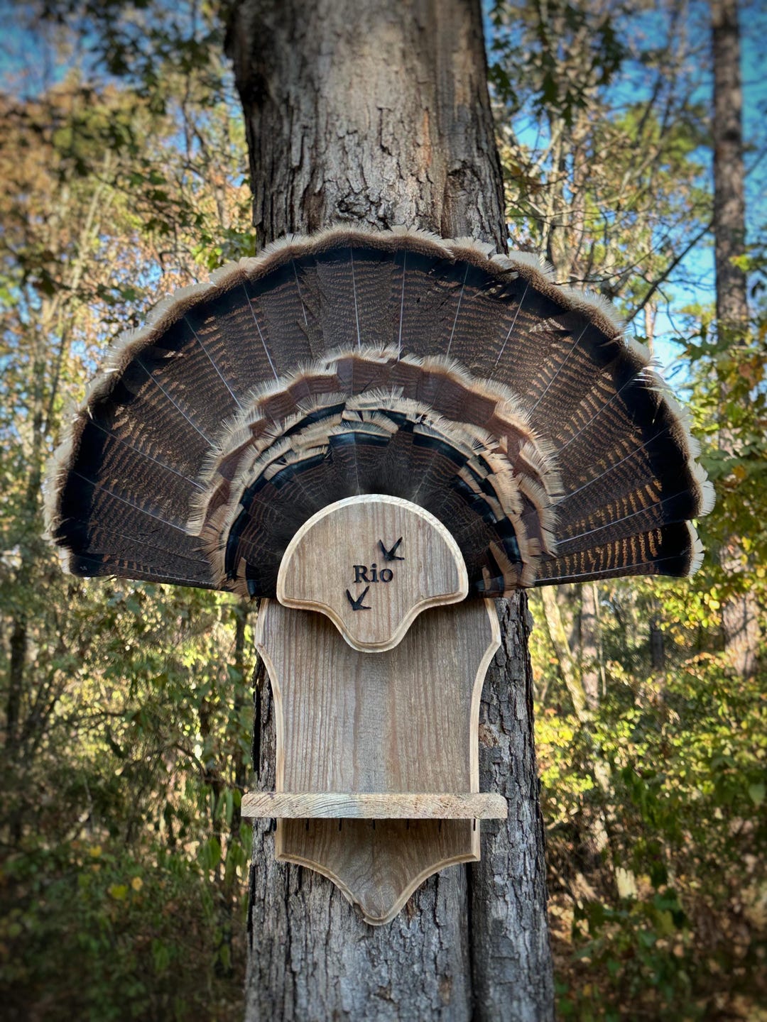 Rio 7 Beard Holder - Etsy