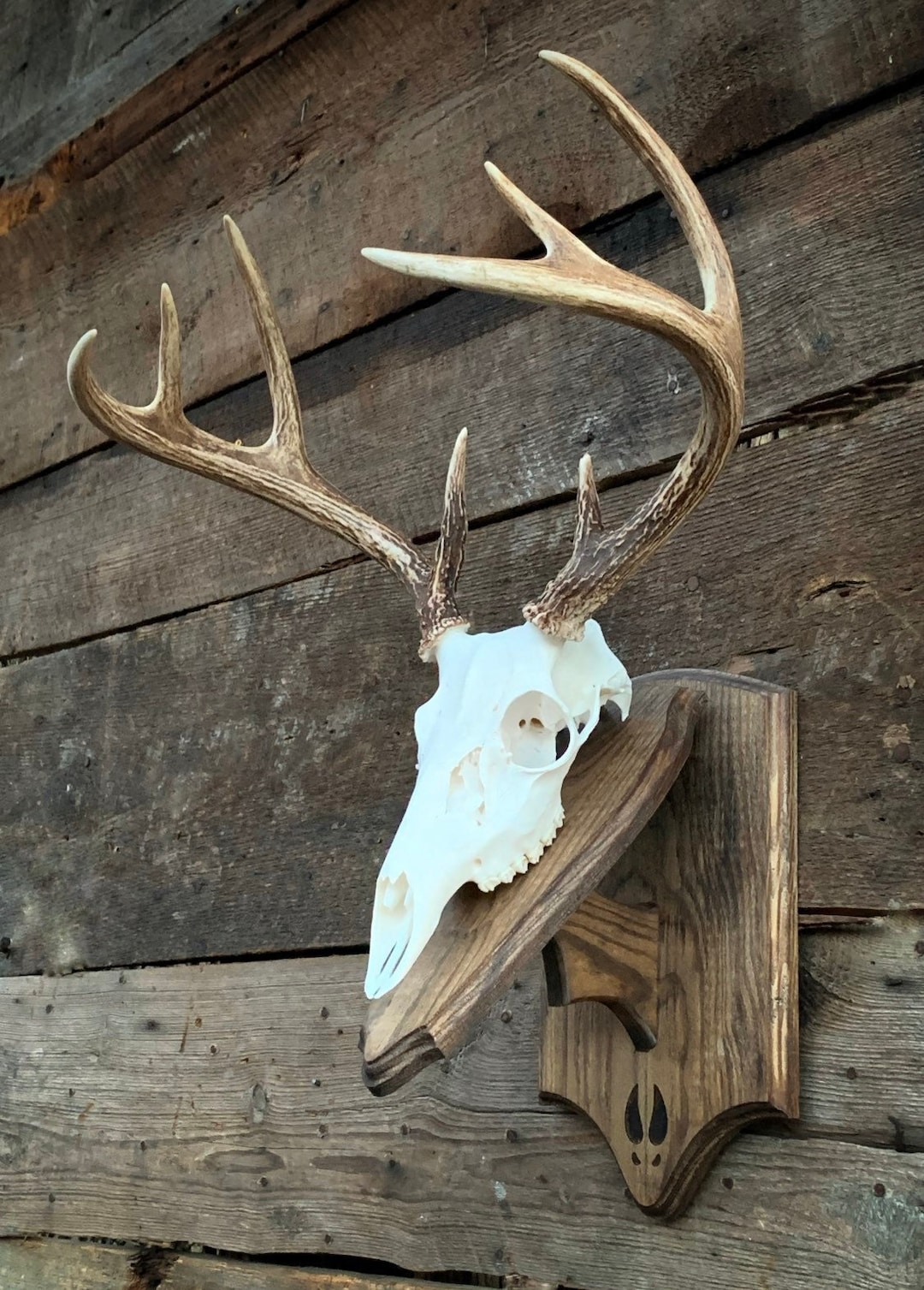 Euro Mount Pedestal - Etsy