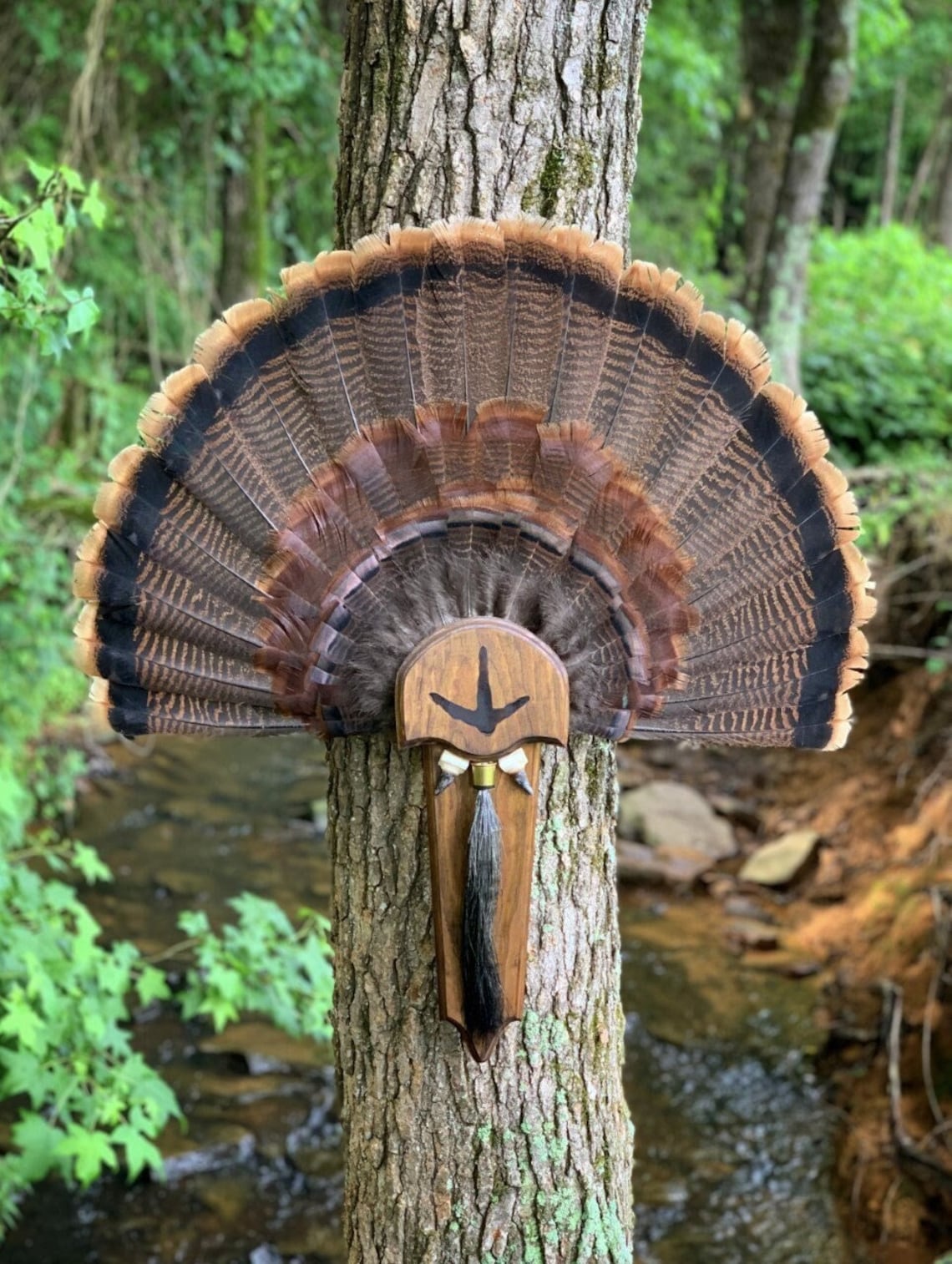 Turkey Fan Plaque - Etsy