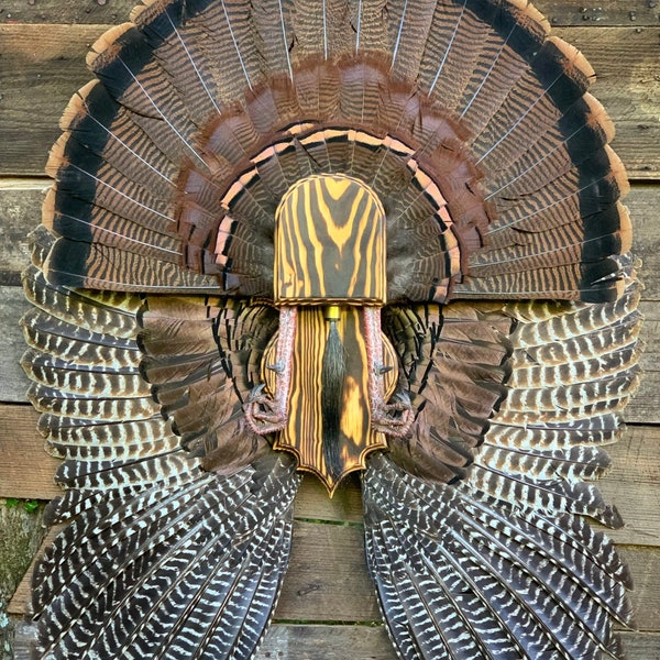 Turkey Fan Mount - Etsy