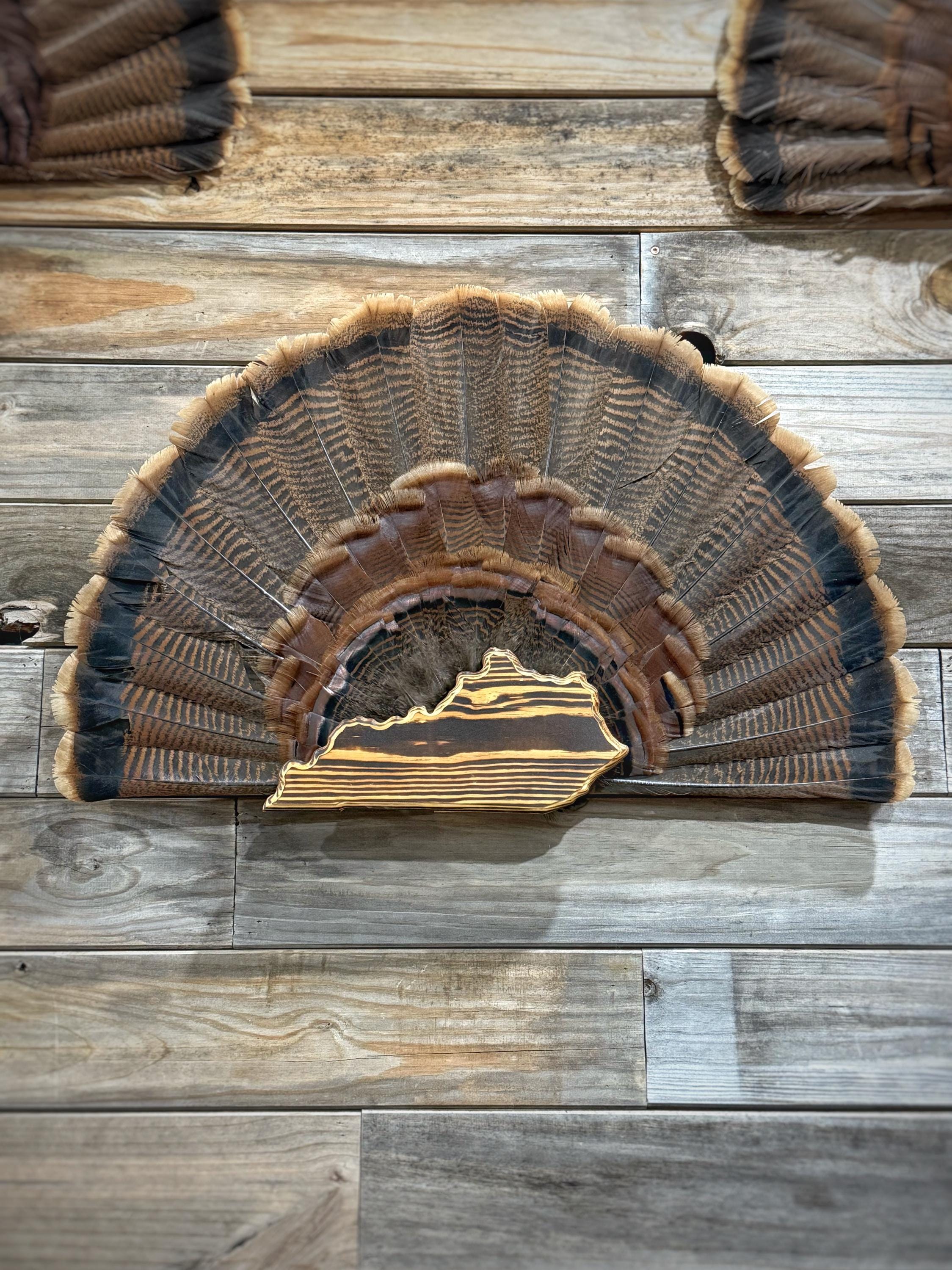 Kentucky Turkey Fan Plaque - Etsy