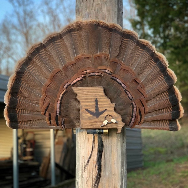 Turkey Fan Mount - Etsy