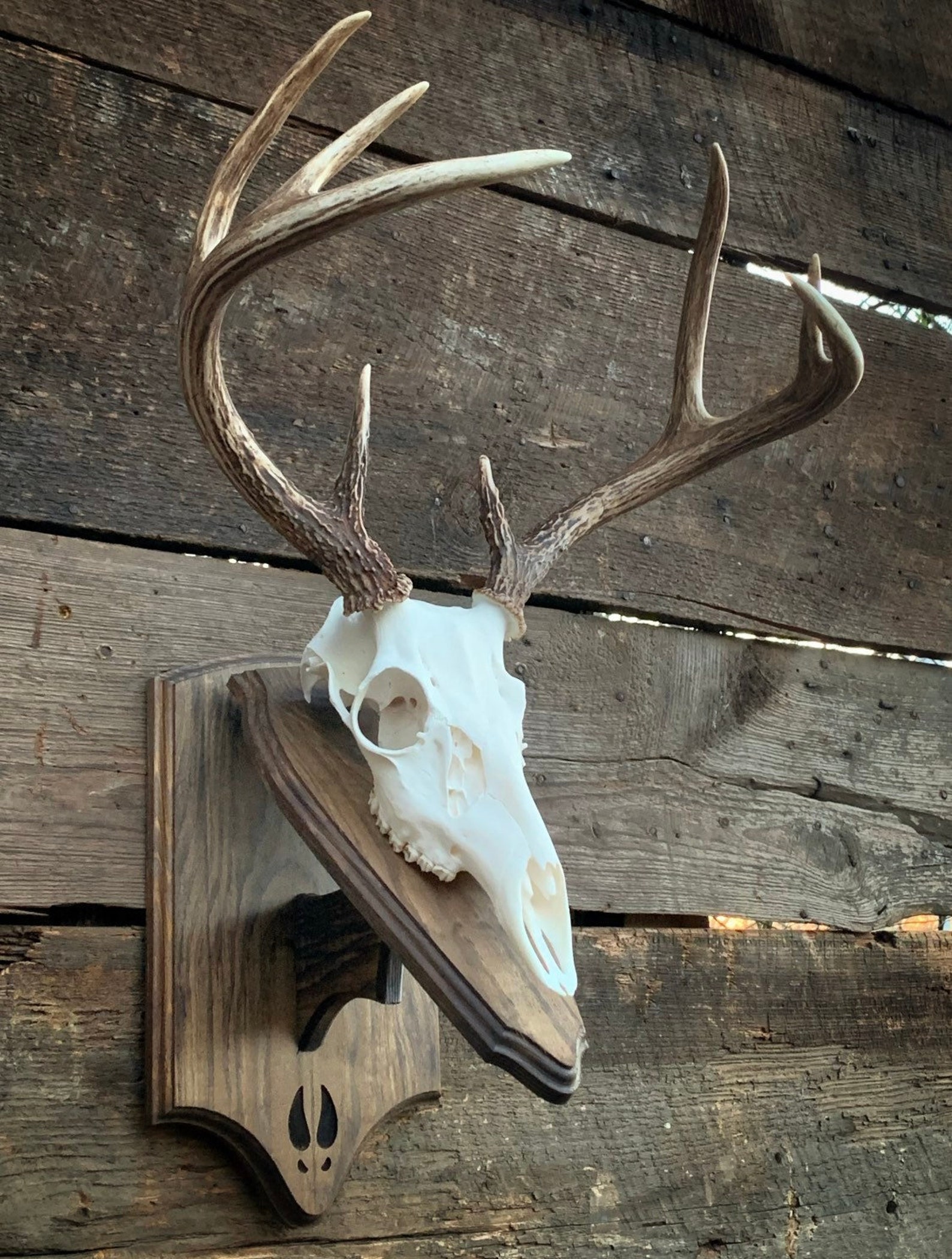 Euro Mount Pedestal - Etsy