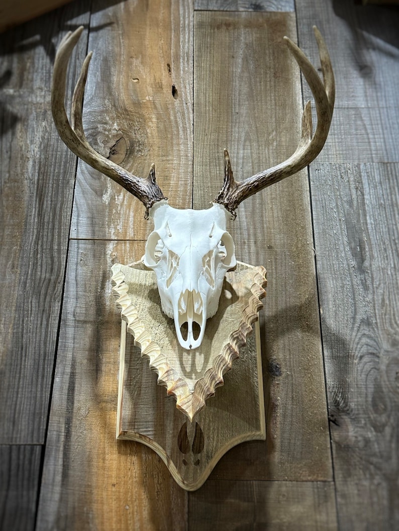 Euro Mount Pedestal arrowheadbarnwood - Etsy