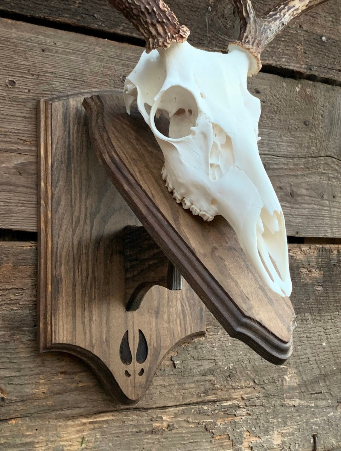 Euro Mount Pedestal - Etsy