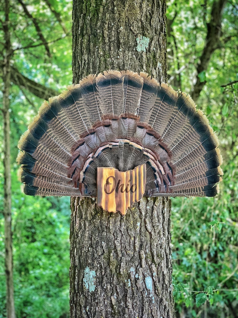 Ohio Turkey Fan Plaque - Etsy
