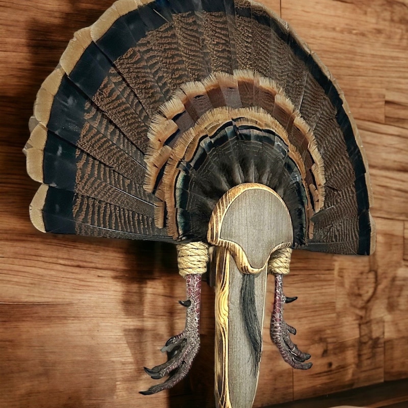 Turkey Fan Mount - Etsy