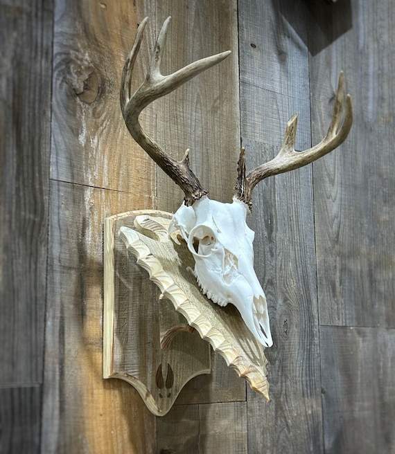 Elk European Mount Stand
