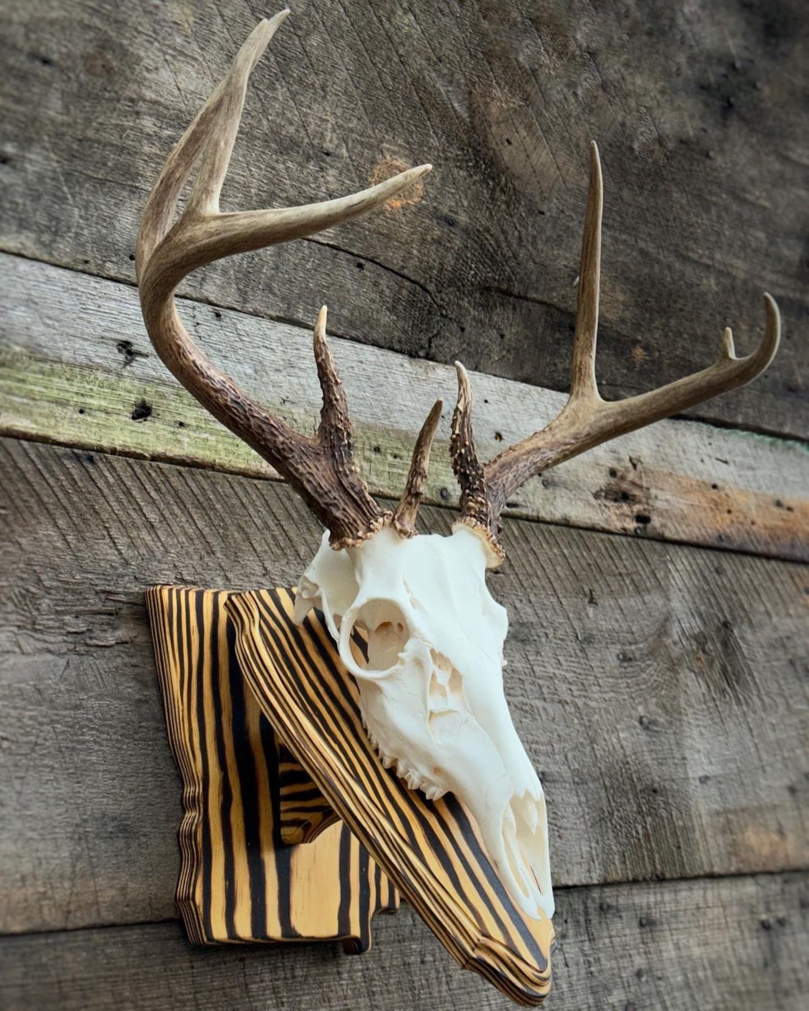 Georgia Wall Pedestal - Etsy