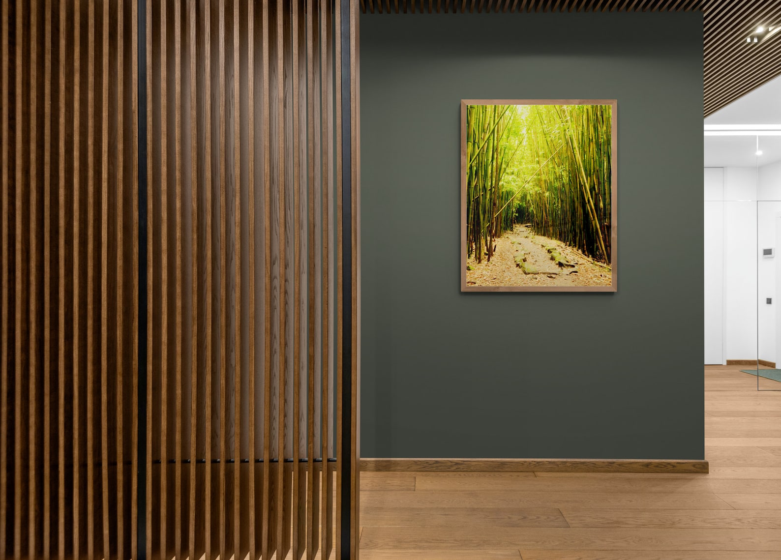 Bamboo Forest, Bamboo Photo, Bamboo Image, Bamboo Wall Art, Bamboo ...