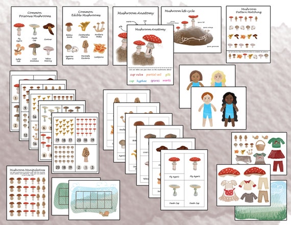 Mushrooms Unit Study Printable Packet | Etsy
