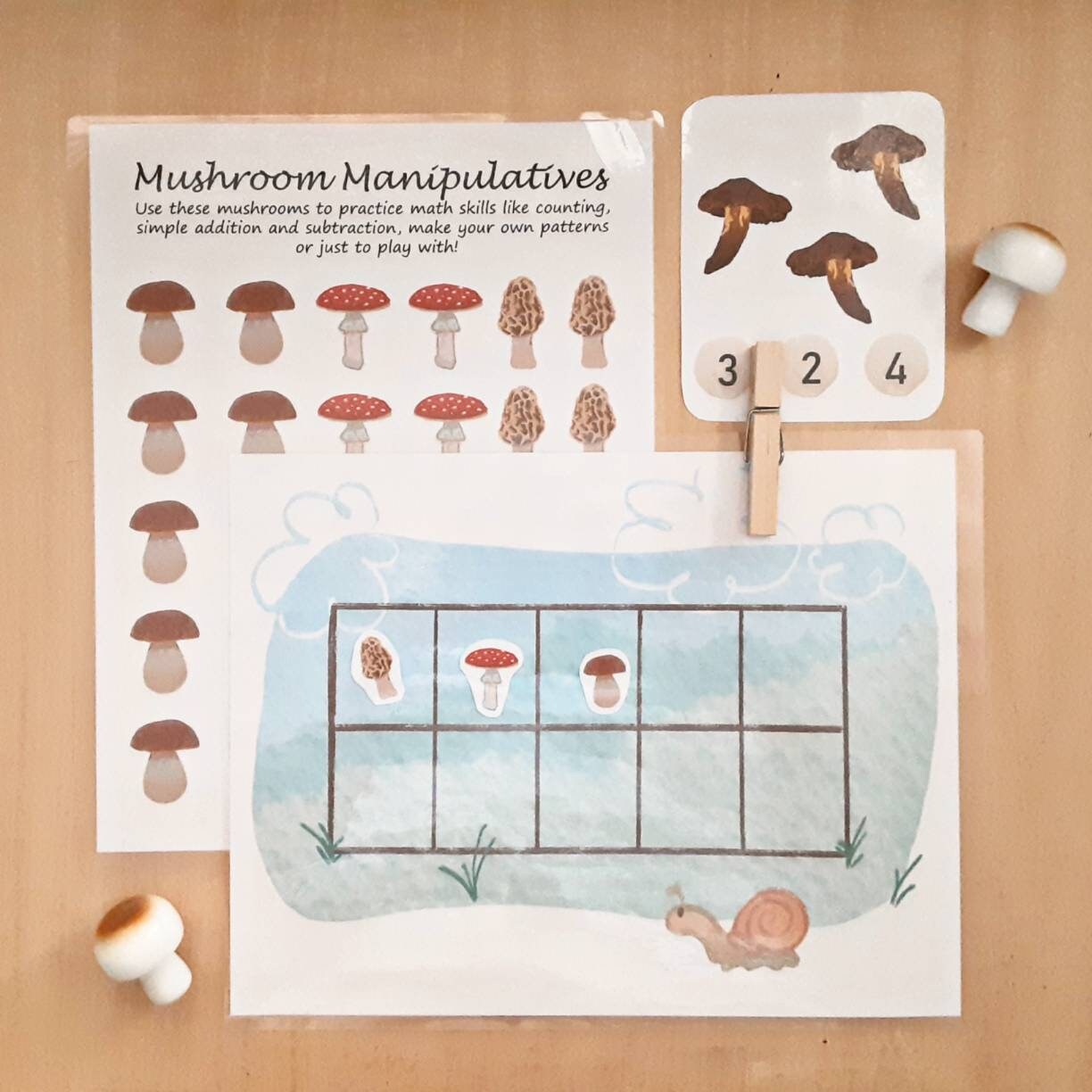 Mushrooms Unit Study Printable Packet - Etsy
