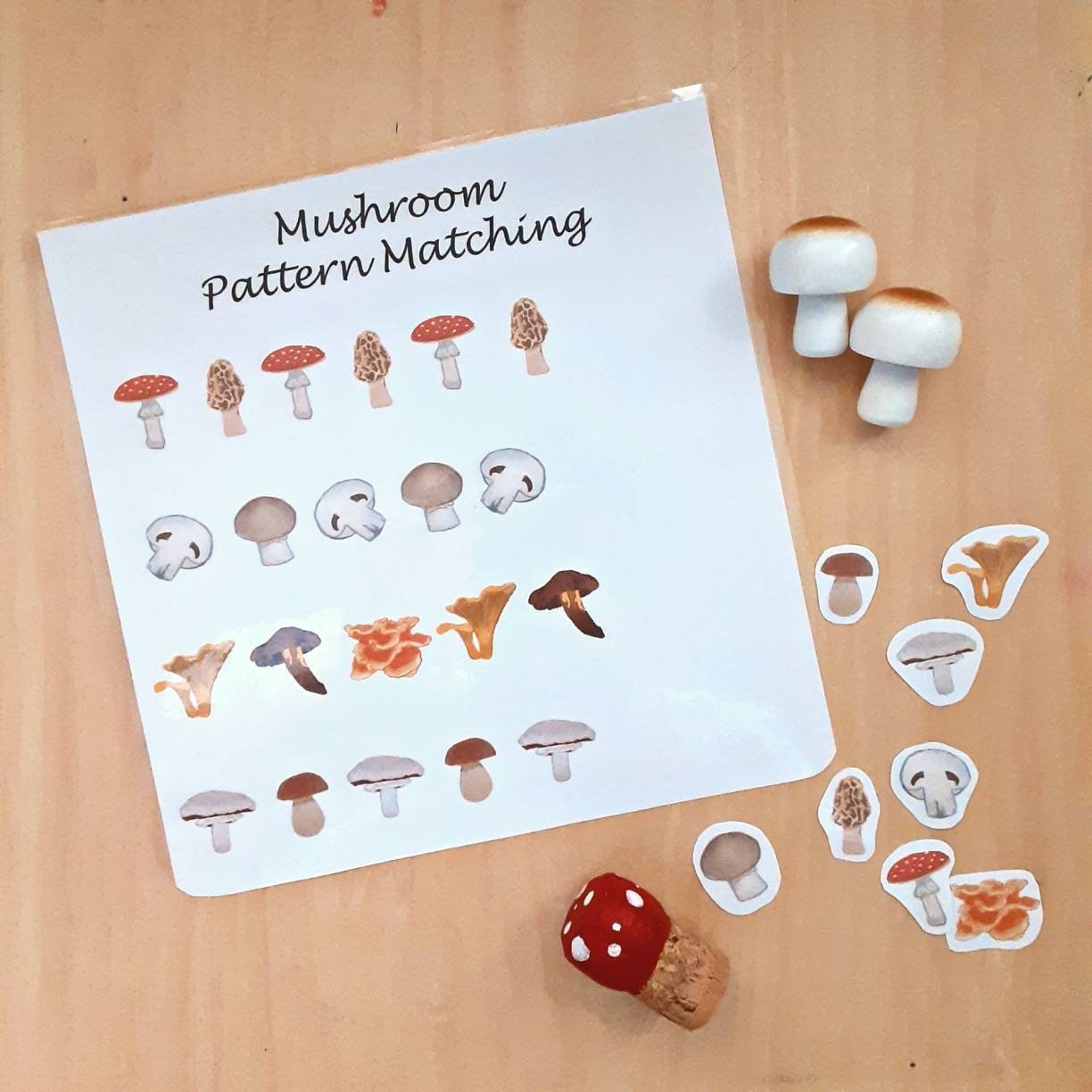 Mushrooms Unit Study Printable Packet - Etsy