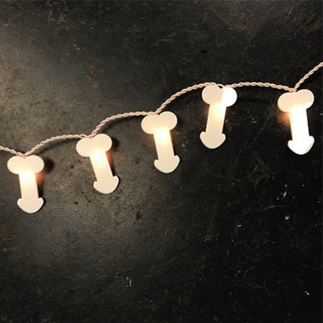 Dick Party Lights Ship A Dick Shipadick.com 100% Anonymous Mail Prank ...