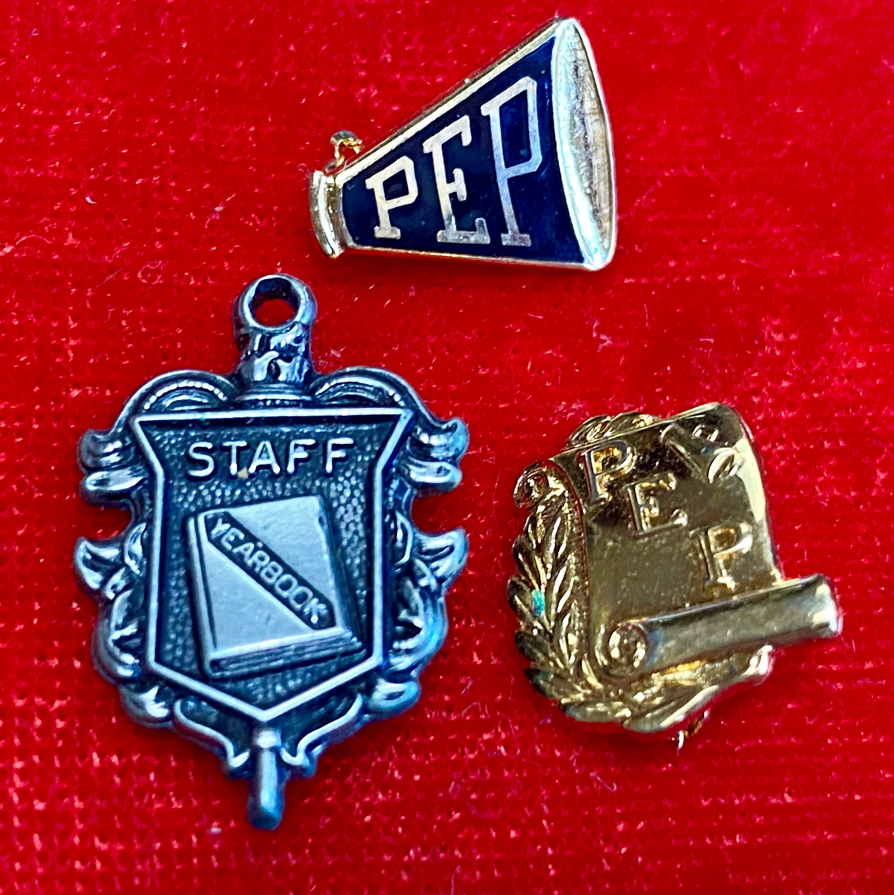 Vintage 70's High School Pins. Vintage Girl Scout Trefoil - Etsy