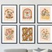Retro Groovy Floral Set of 6 Positive Quote Motivational Posters ...