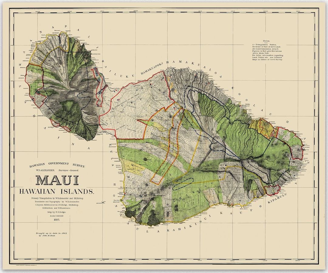 1885 De Witt Alexander Wall Map of Maui Hawaii Historic Maui Map Wall ...