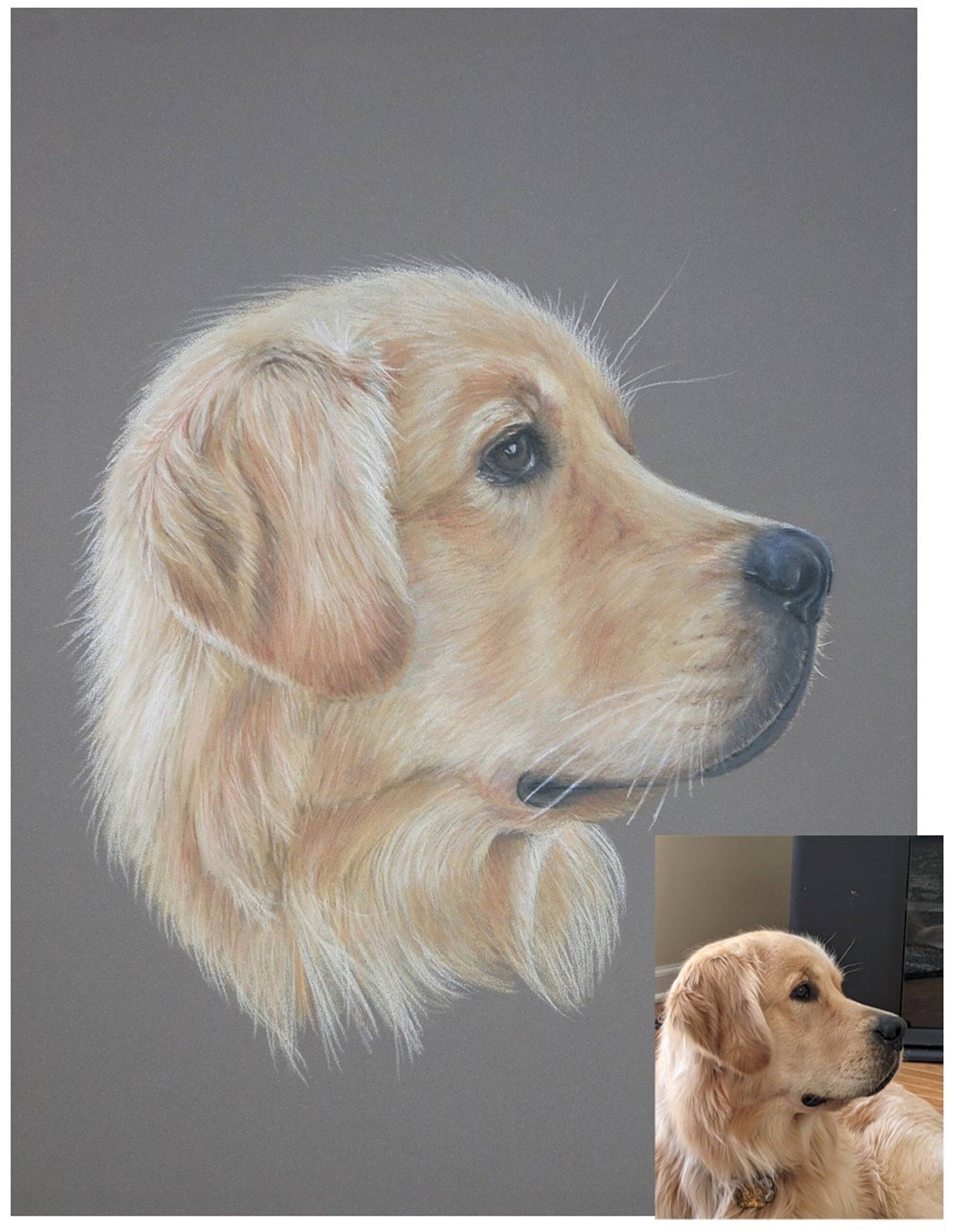 Custom hand drawn pet portrait 9x12" or 10x10". Colored pencil ...