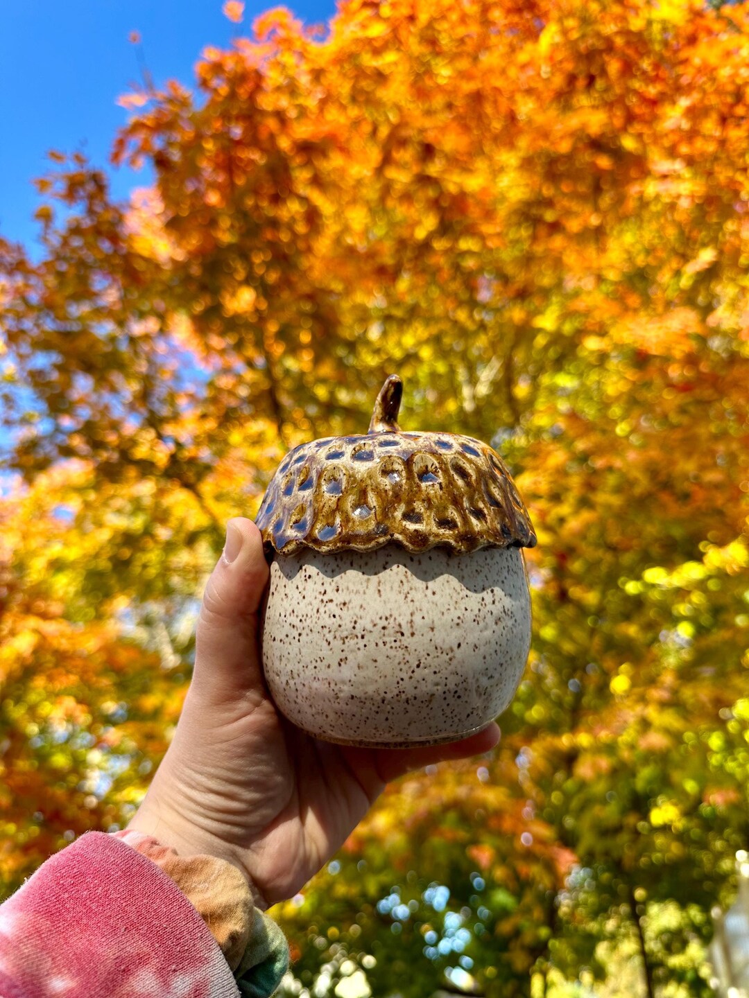 Acorn Jar - Handmade Pottery - Etsy