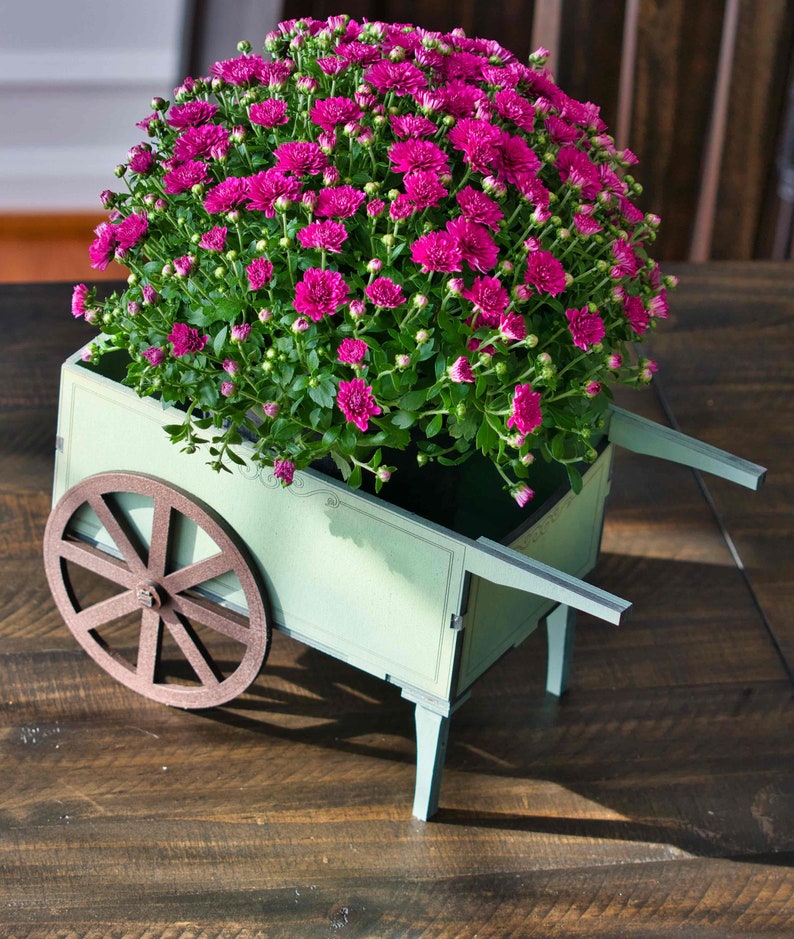 Rustic Wood Flower Cart Perfect for Small Plants or Flowers - Etsy