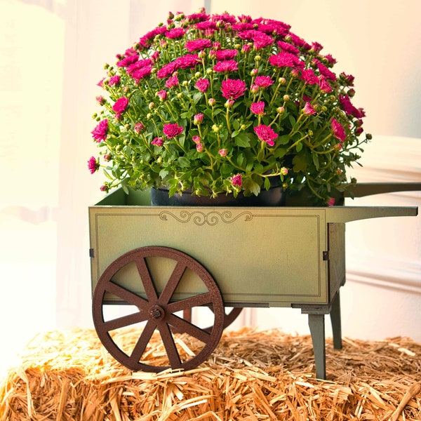 Flower Cart - Etsy