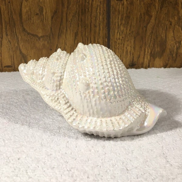 Conch Shell Art - Etsy