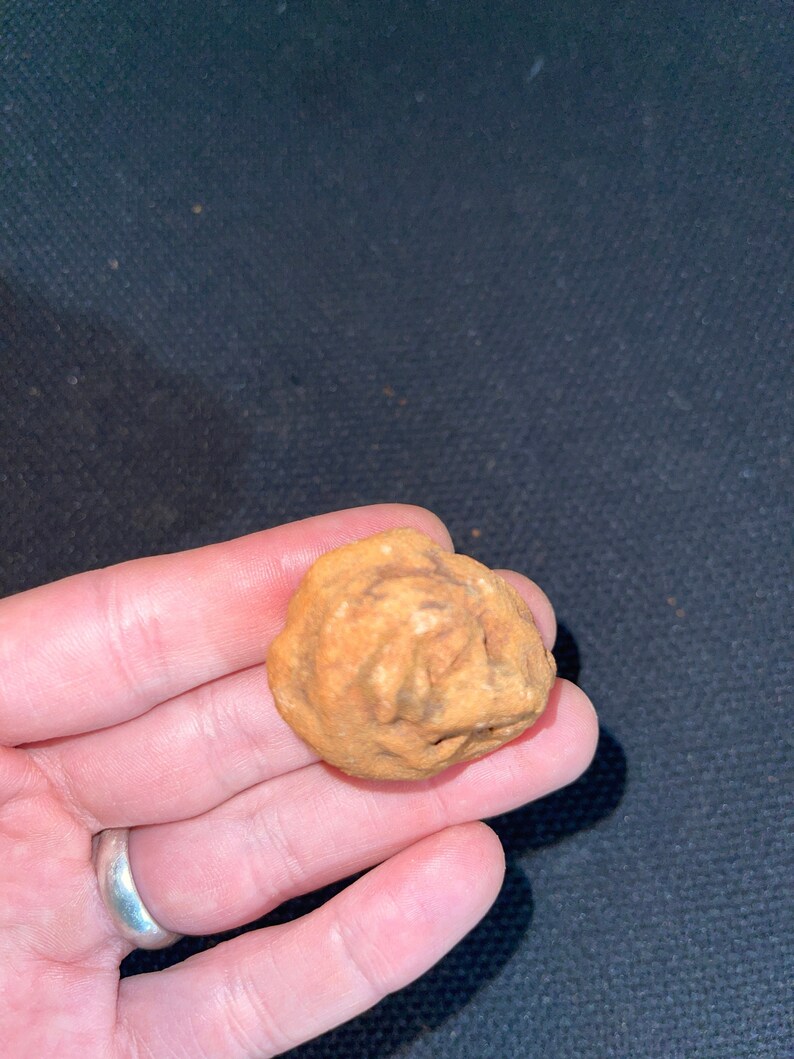 Oklahoma Rose Rocks Small (pack of 5) - Etsy