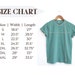 Embroidered Daisy Comfort Colors Shirt, Daisy Shirt, Comfort Colors ...