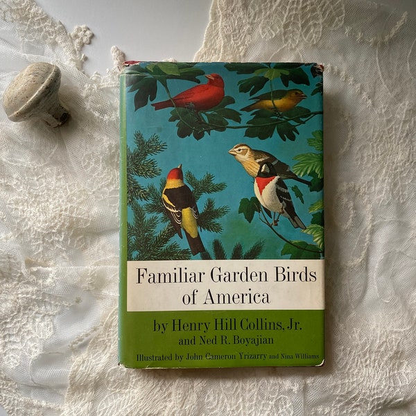 Vintage Bird Book - Etsy